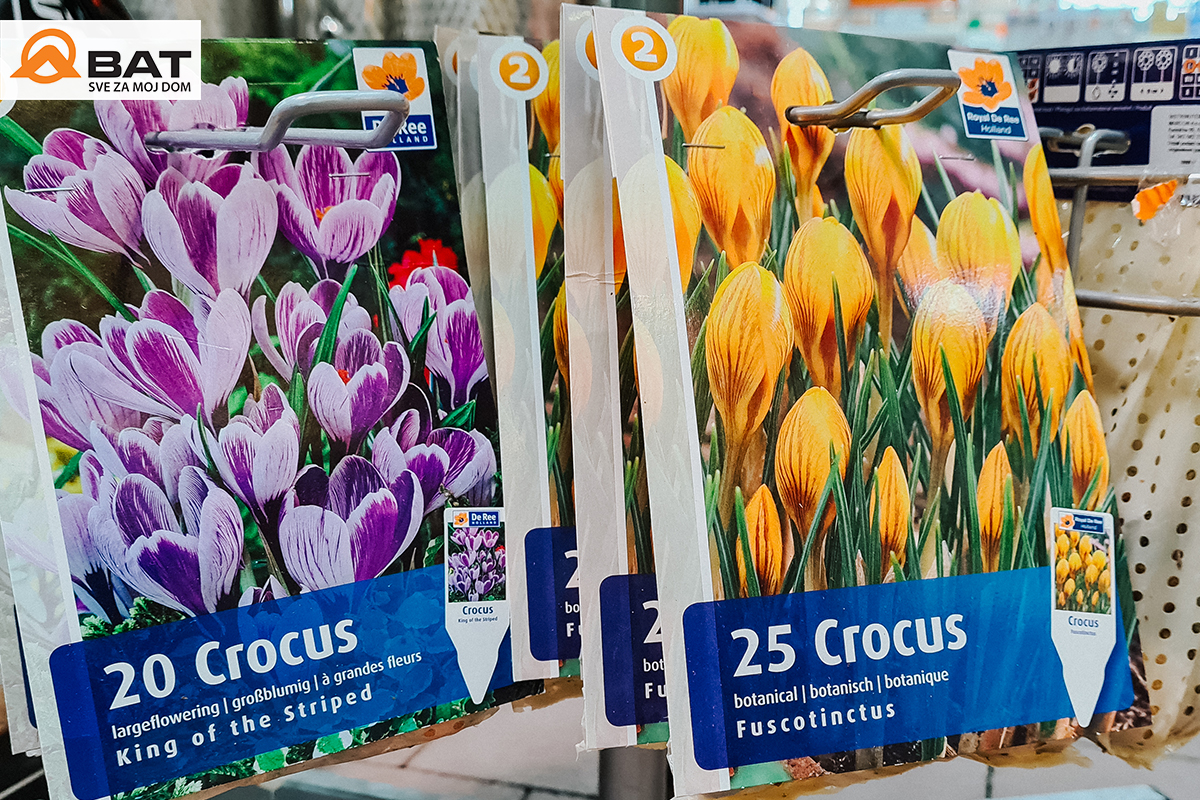 Jesenska sadnja lukovica za rascvjetali proljetni vrt - BAT prodajni centar