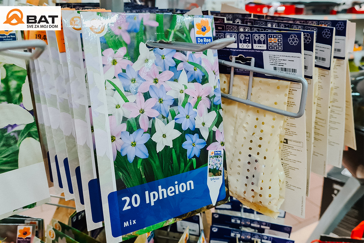 Jesenska sadnja lukovica za rascvjetali proljetni vrt - BAT prodajni centar