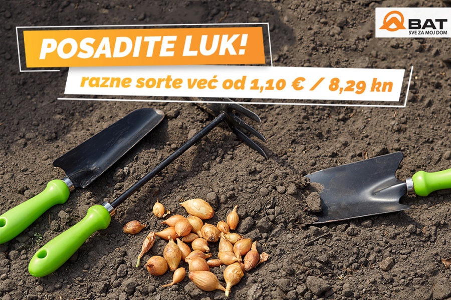 Traje jesenska sadnja luka - BAT prodajni centar