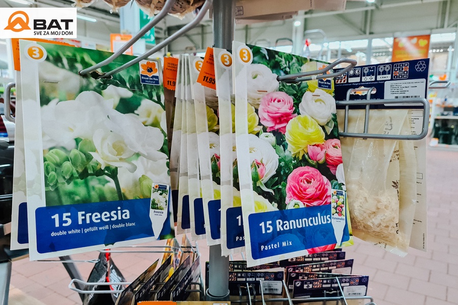 Jesenska sadnja lukovica za rascvjetali proljetni vrt - BAT prodajni centar